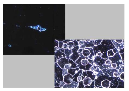 Comprehensive Overview of Metallography: Techniques, Fundamentals, and ...
